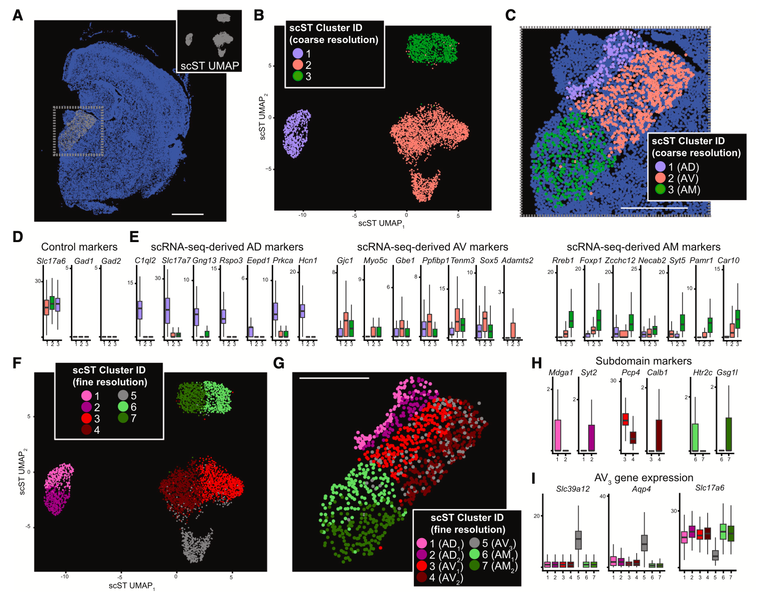 Two platforms, one powerful spatial biology toolkit: When and how researchers are using Visium ...